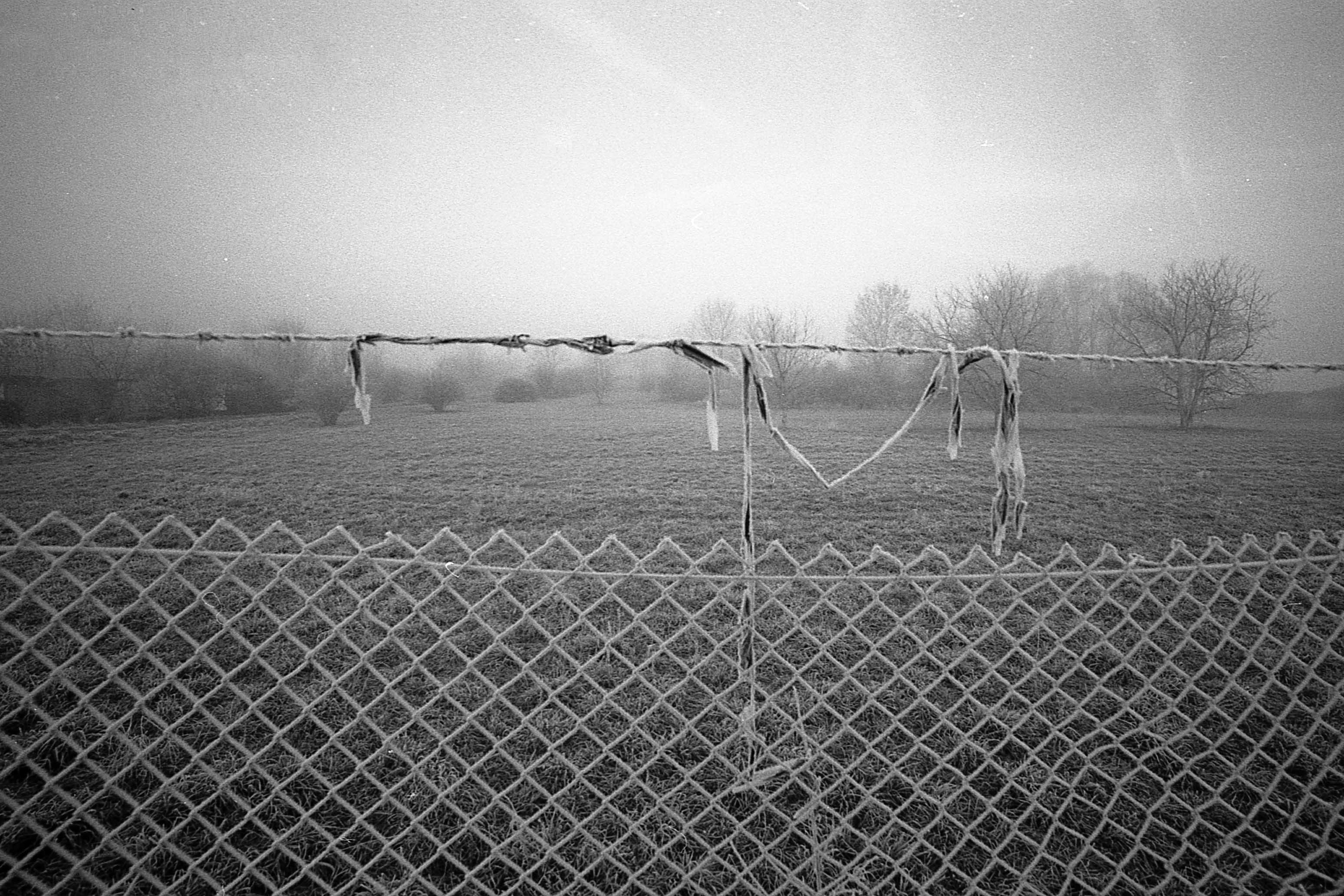 Writing – Anthony Cockerill