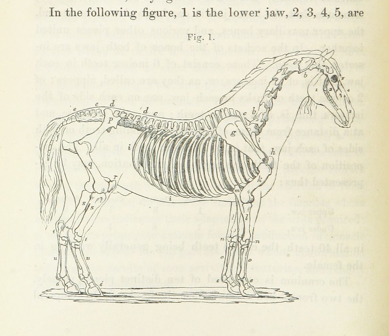 Teach your students to be more insightful readers with lots of ...